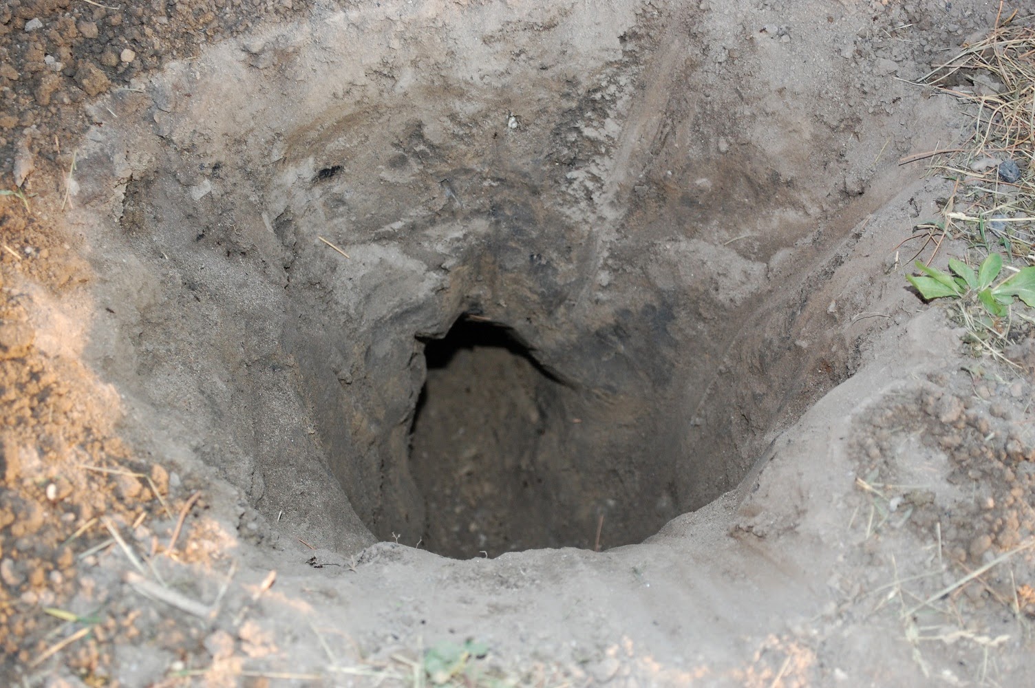 Uvulapie and His Amazing Hillbillies: How to Build a Dakota Fire Hole