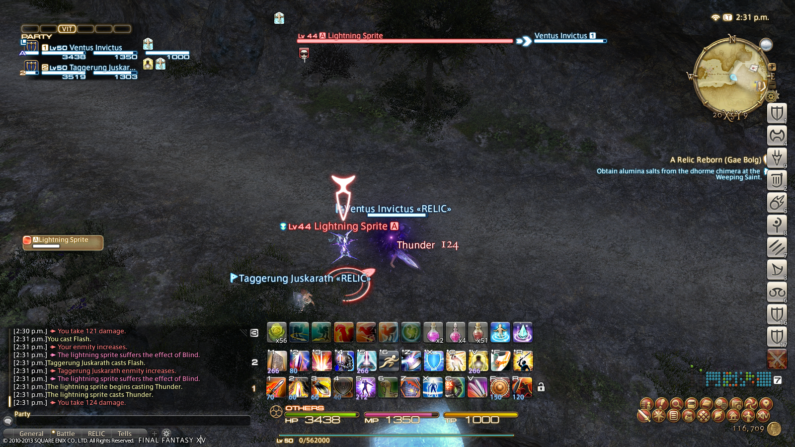 Warrior Tanking in Wildstar: Endgame Paladin Guide and Enmity/Shield ...