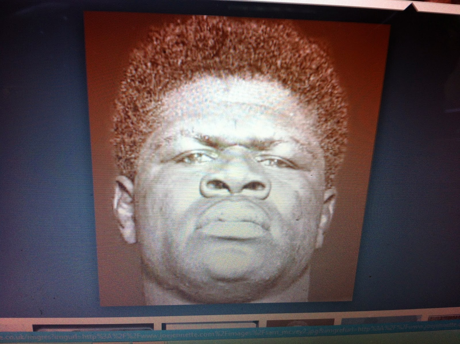 THE BLACK SOCIAL HISTORY:: BLACK SOCIAL HISTORY ; AFRICAN AMERICAN ...