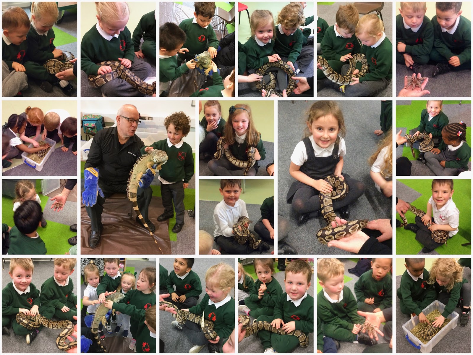 Hacton News: Early Years: Snakes Alive