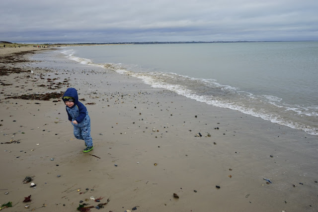 Entertaining Elliot: A Sunday Afternoon Walk at Knoll Beach, Dorset