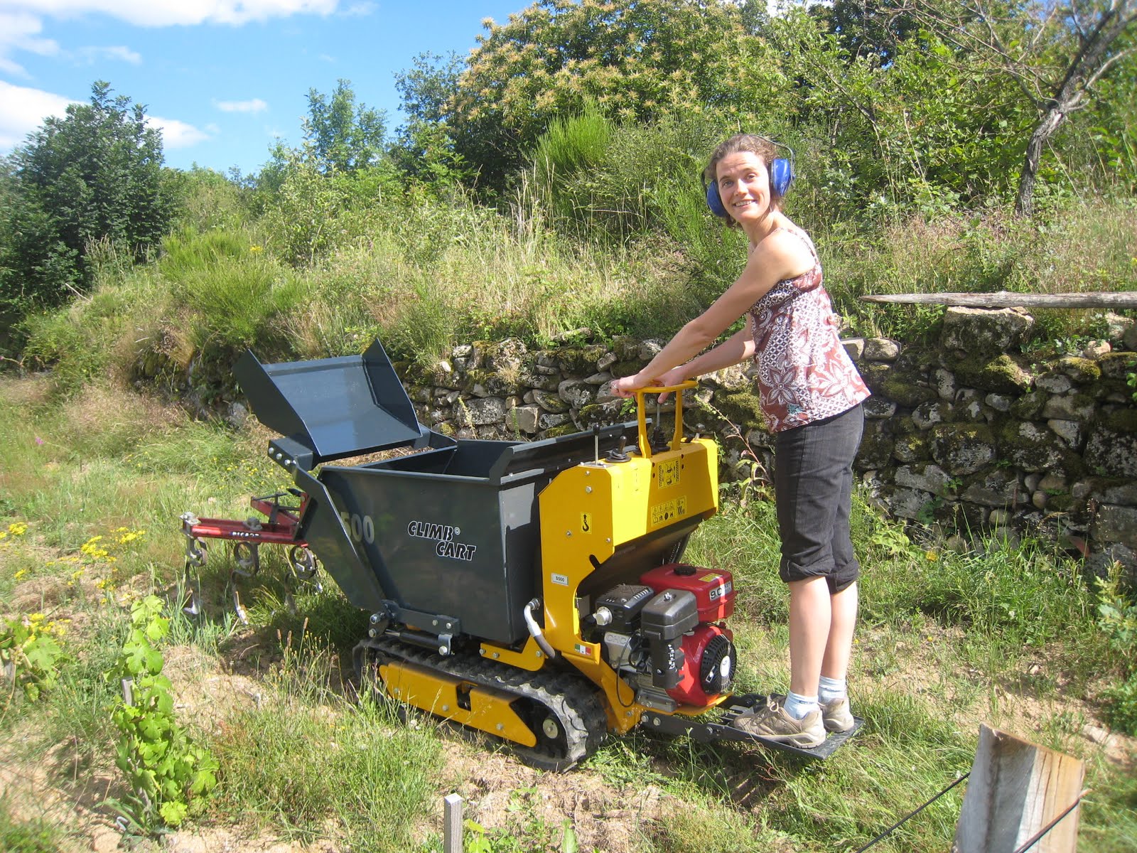 Le Clos du Pigeonnier: Essai chenillette : enfin quelque chose de sérieux