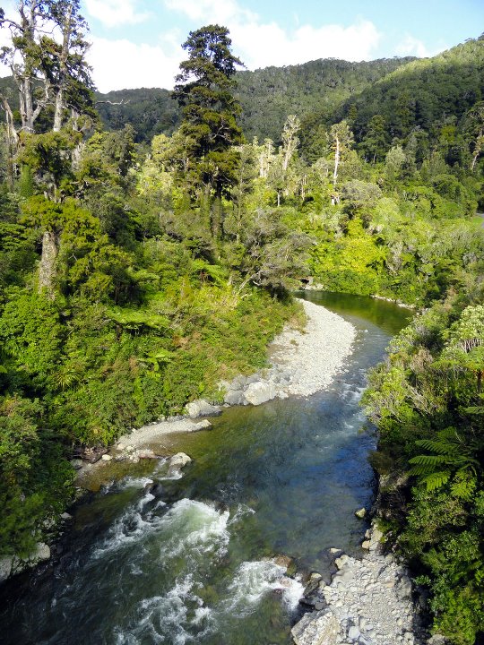 Bros in New Zealand: Kaitoke Regional Park (Rivendell)