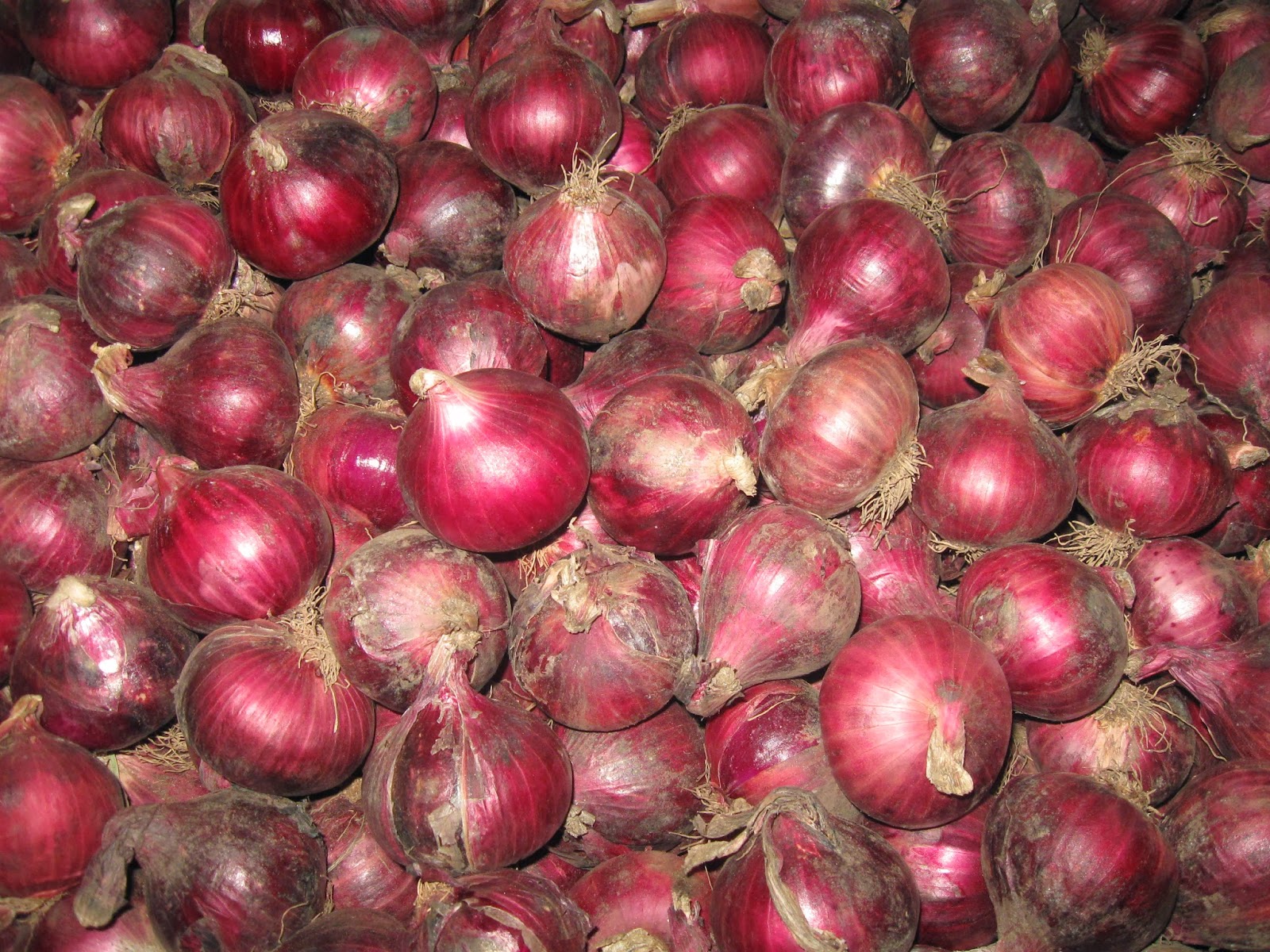 Kariakoo Market Corporation: PATA NYANYA, VITUNGUU PILIPIPLI, HOHO NA ...