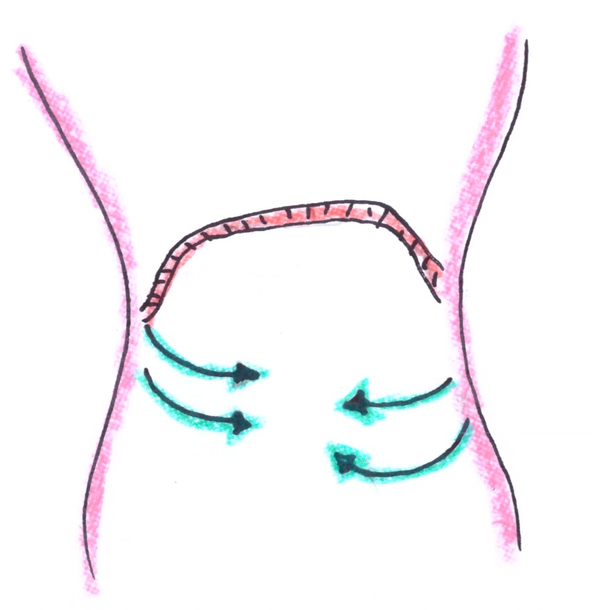 Semplicemente cantare: La respirazione diaframmatica: il mezzo ...