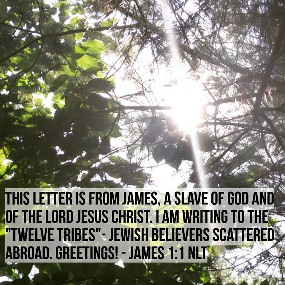 Nudges from God: Introduction to a Study of James