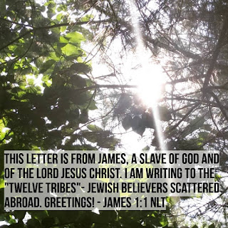 Nudges from God: Introduction to a Study of James