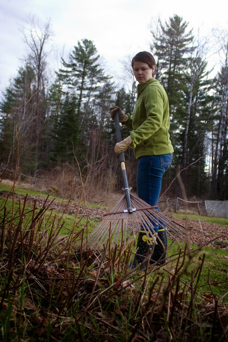 Penny Pinching Prose: How Pruning Can Benefit Us
