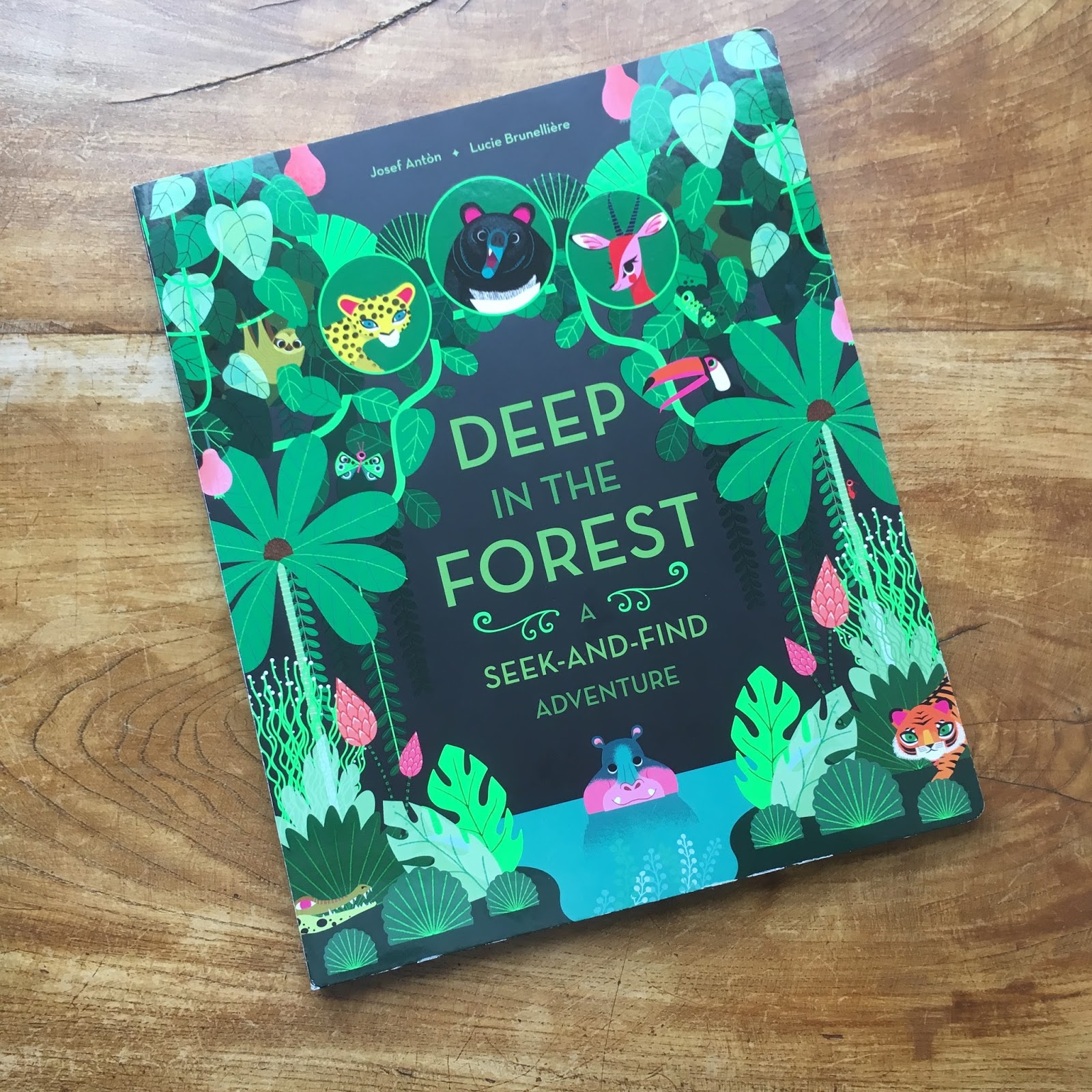 Fabulous Seek-and-Find Books for Toddlers - BookBairn