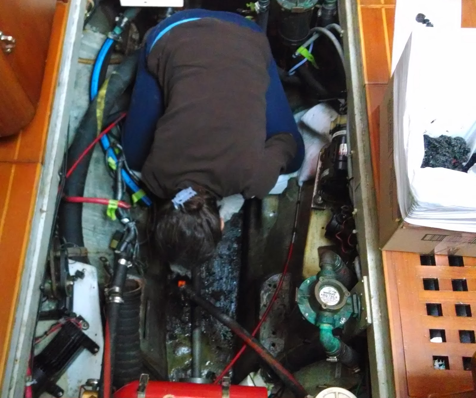 Close Quarters: How to Clean the Bilge