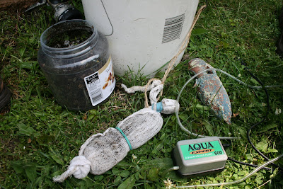 Brain Seeds: How to Brew Vermicompost Tea