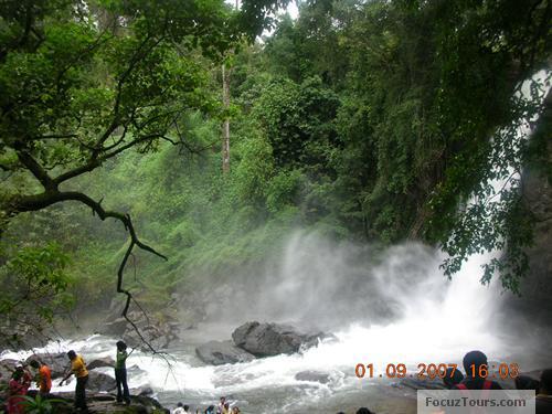 Best Time To Visit Wayanad