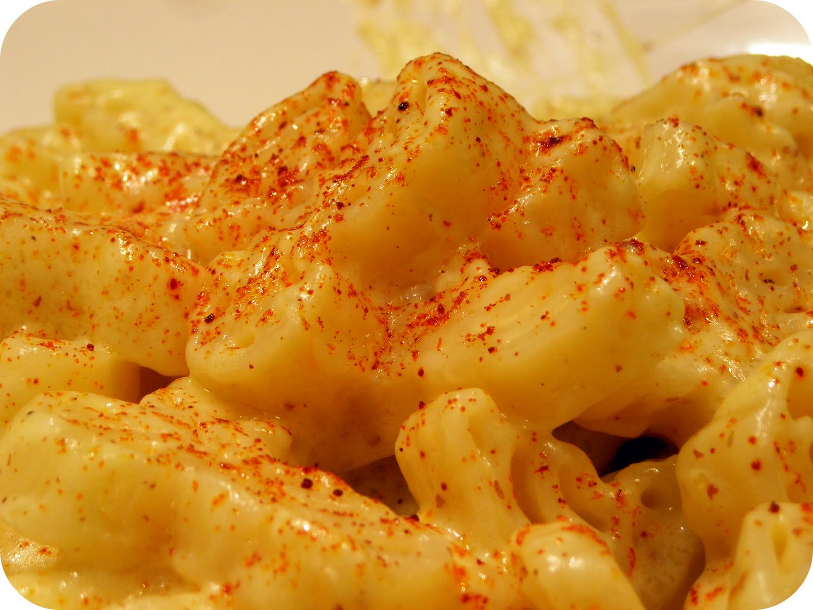 Meat Free Monday: Elk Pasta with Three Cheeses and Paprika