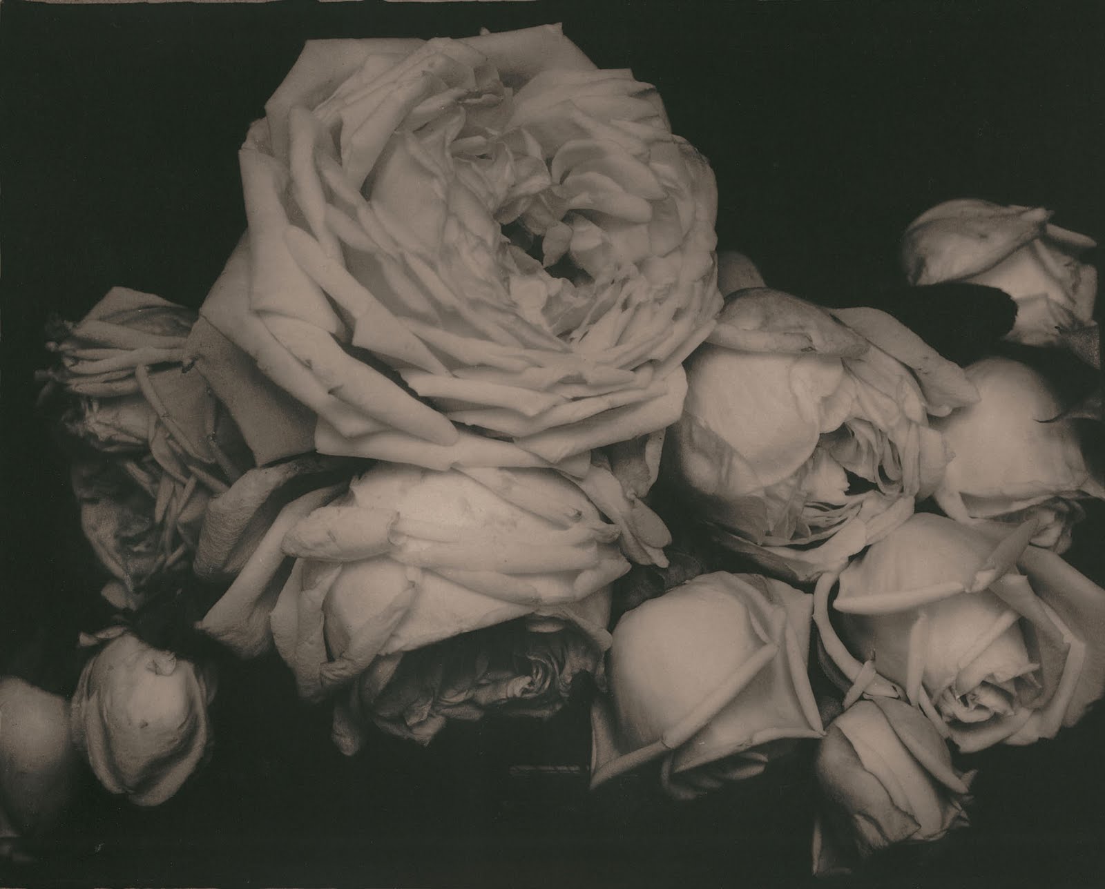 Solitary Dog Sculptor I: Photos - Fotos: Edward Steichen - The artistic ...