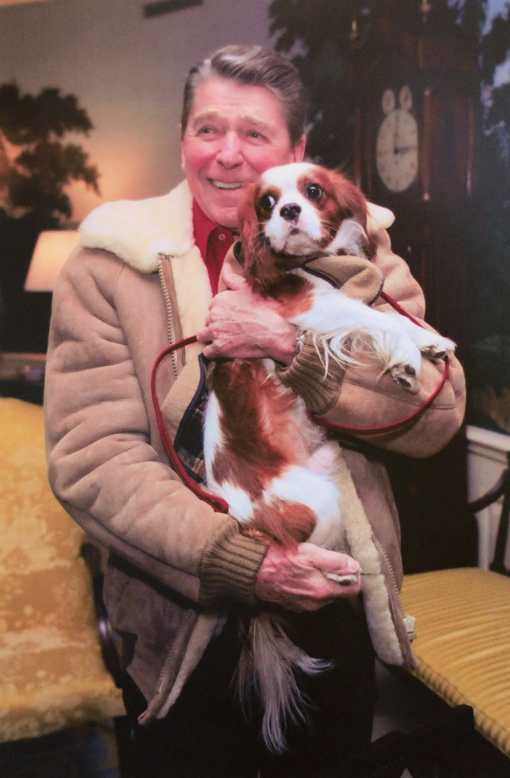 Images and More: Passed Presidents - # 40 – Ronald Reagan