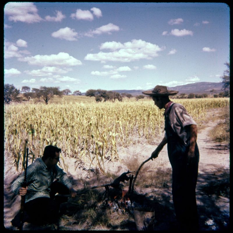 Everyday Life of Mexico City in 1957 Through Amazing Color Photos ...