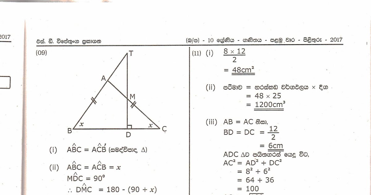 NEO e-tution : Grade 10 Maths Term test 1