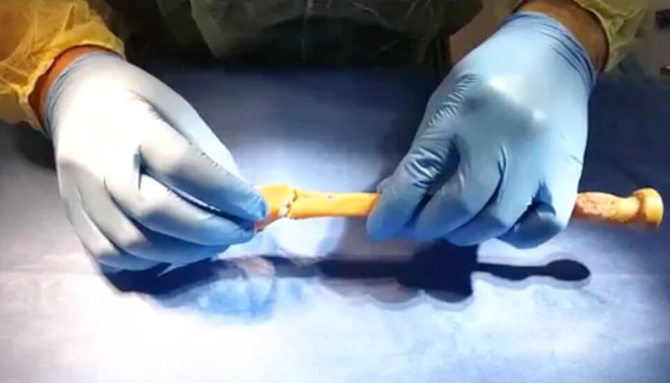 Rol de la Tecnología en el Desarrollo Sostenible: El blog de Milagros ...