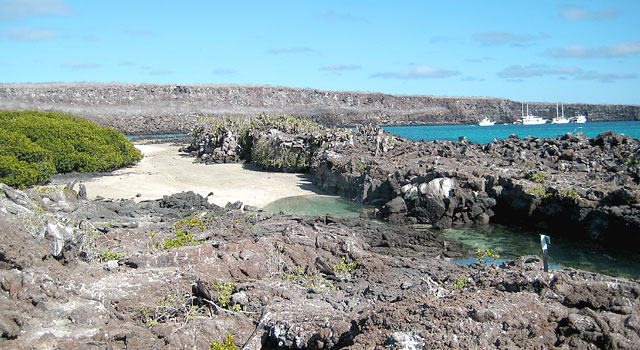 Galapagos Ecotourism and Responsible Travel: The Blog: Genovesa Island ...