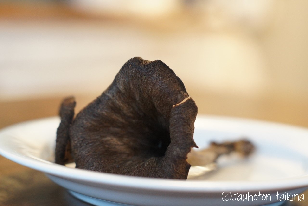 Jauhoton taikina : Mustatorvisienimakkara + infoa torvisienestä