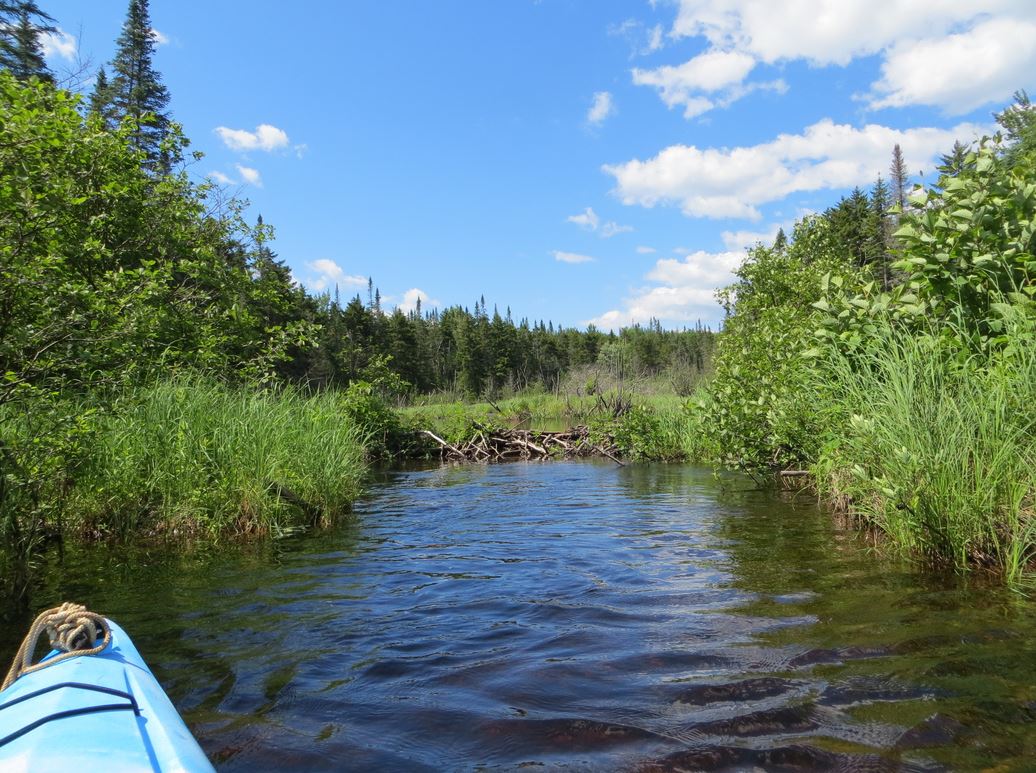 A Little Wild: A Busy Summer of Hikes and Water Trips - Kayaderosseras ...