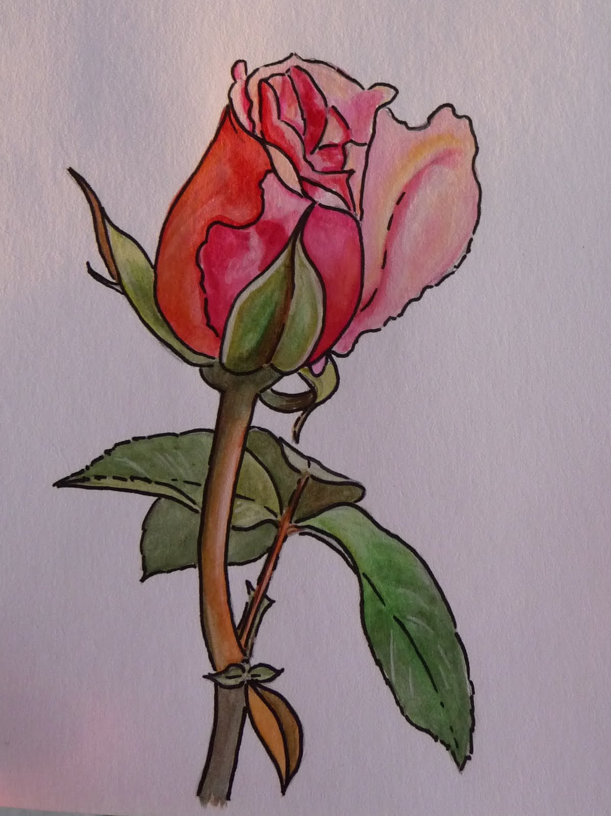 Schilderijen van Orchideeën & andere botanische werken: Kleine ...