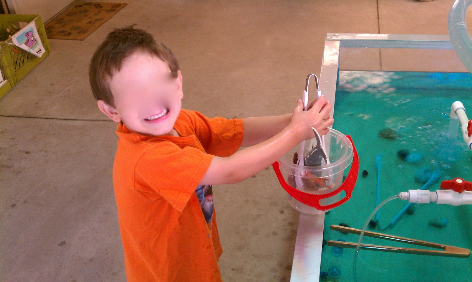 Exploring the Outdoor Classroom: Engaging Water Play - Sea Creatures ...