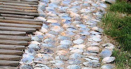 Beach Garden Landscaping Ideas with Shore Finds