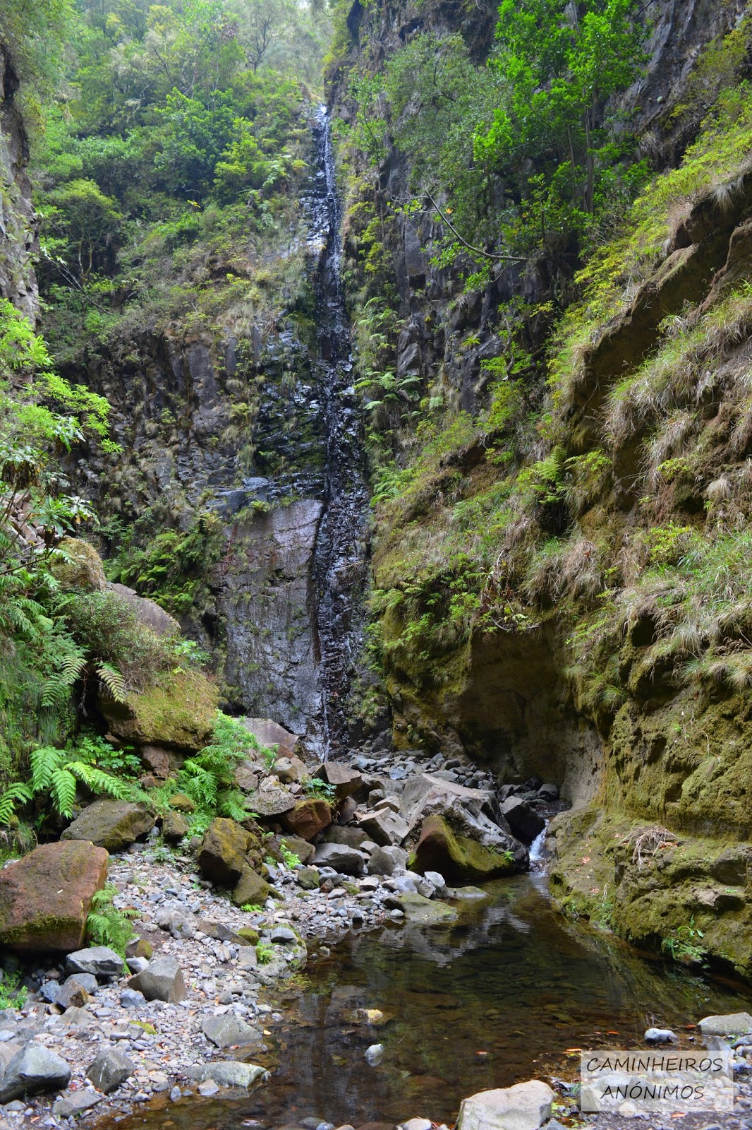 Caminheiros Anónimos Levadas da Madeira : Levada do Pico Ruivo (Ilha)