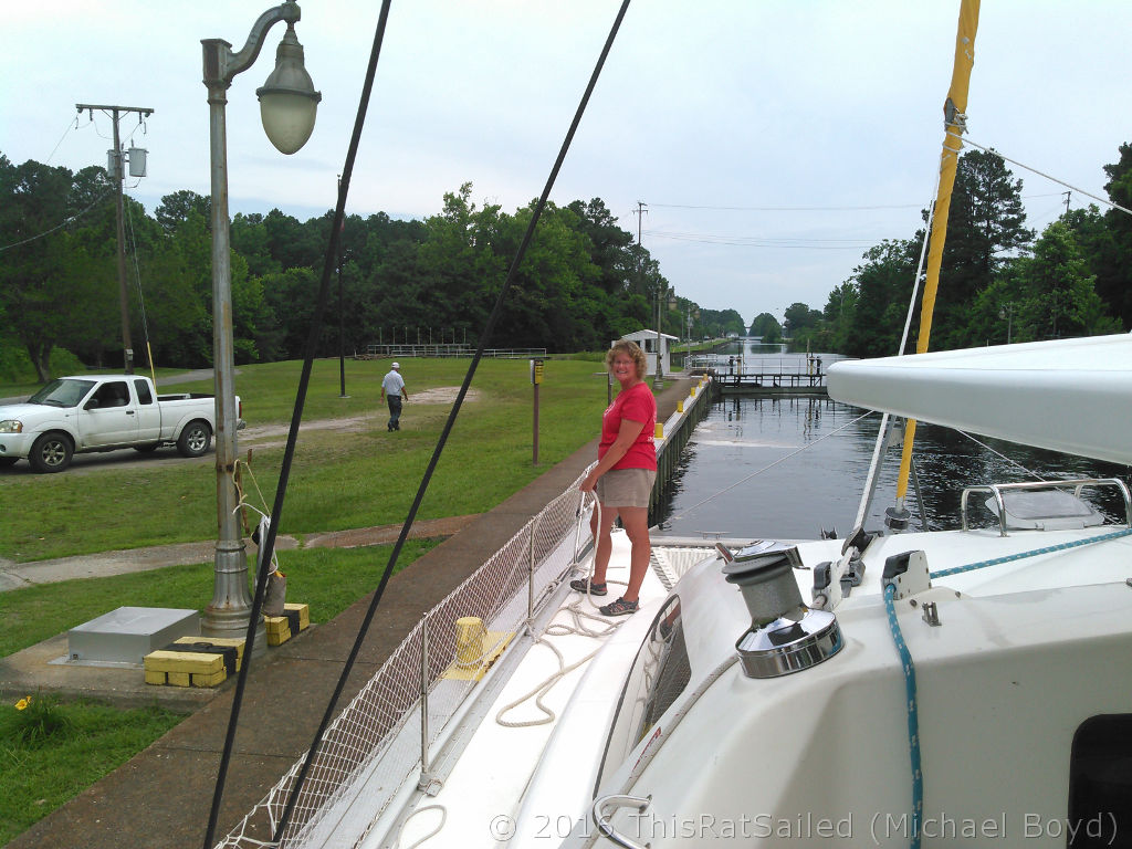 This Rat Sailed: Another Dismal Day