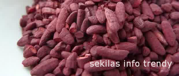 Khasiat Angkak yang perlu diketahui | Sekilas info trendy