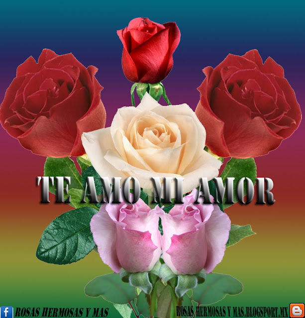Rosas de te amo - Imagui