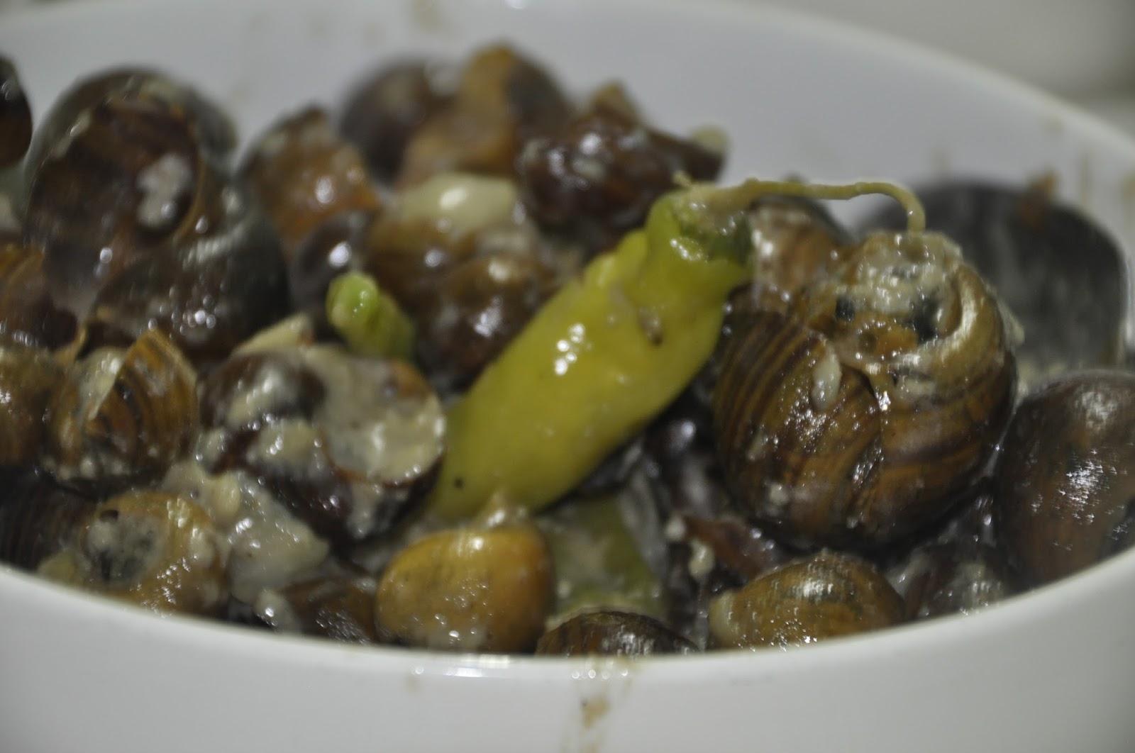 kuhol - philippin news collections