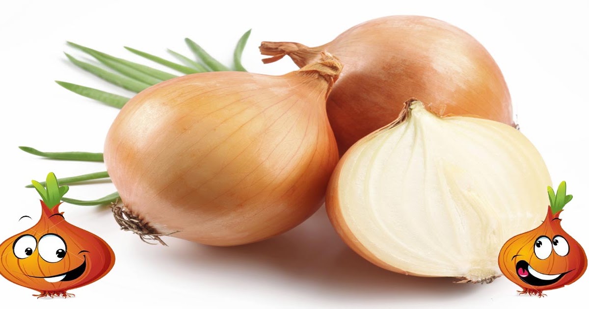 Cebolla: propiedades, beneficios, contraindicaciones y valores ...