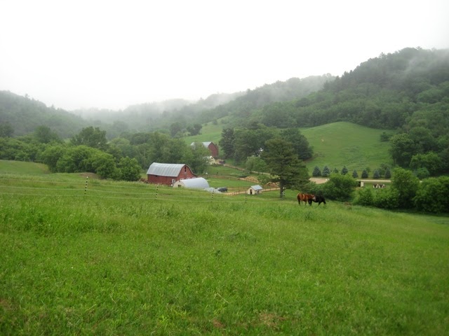 Big Farm, Little Farm | Gypsy Farmgirl