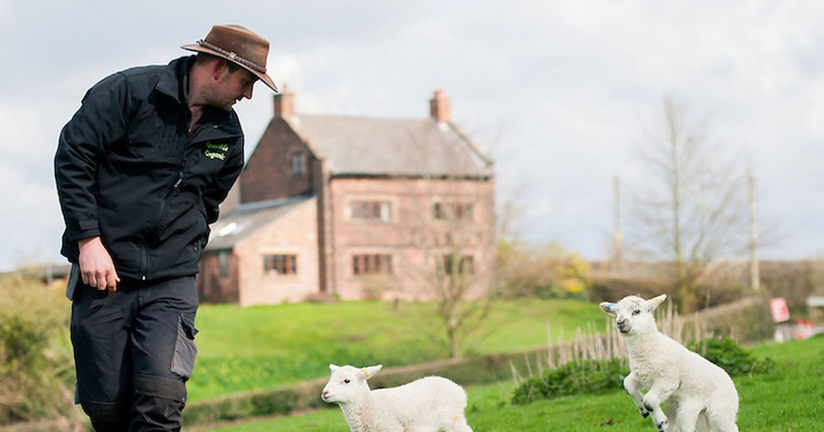 Farmers Insurance Company, Companies, Agent, Agents