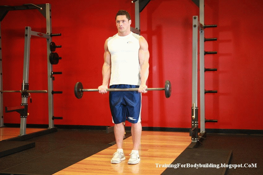 Best Biceps Workout ~ training for bodybuilding