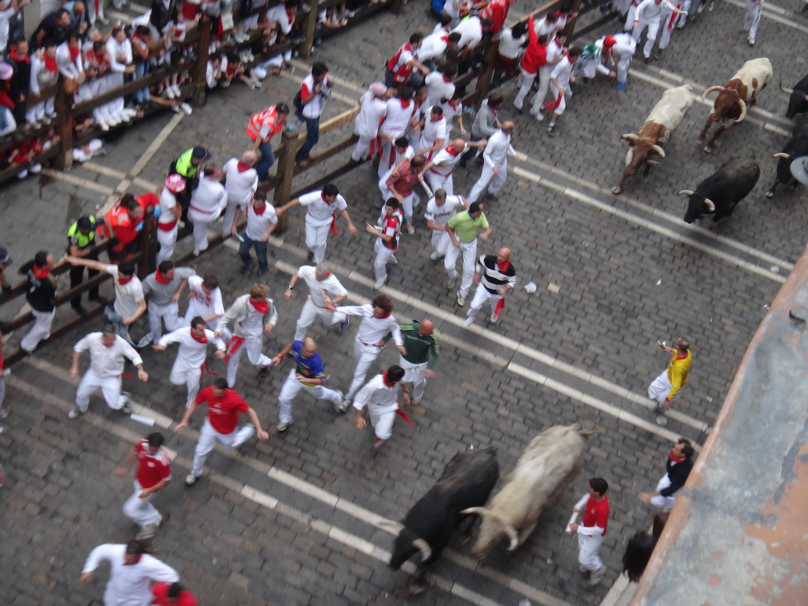 Running of the Bulls Basics: Stages of the Bull Run