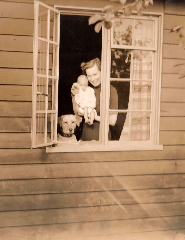35 Interesting Vintage Snapshots That Capture People at the Windows ...