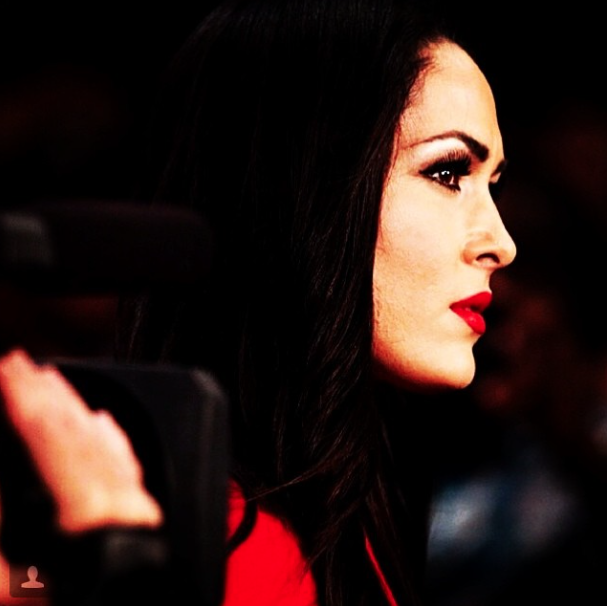 The World Of The Bella Twins: Brie Bella IG Pictures