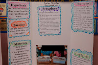 Our Flipped Classroom Adventures: Digital Science Fair Projects