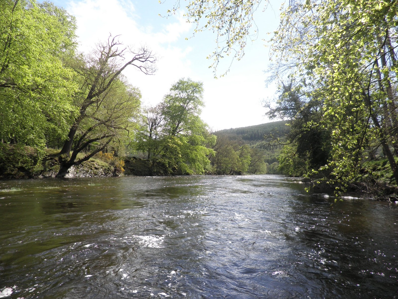 The River Beat: The River Dee, North Wales