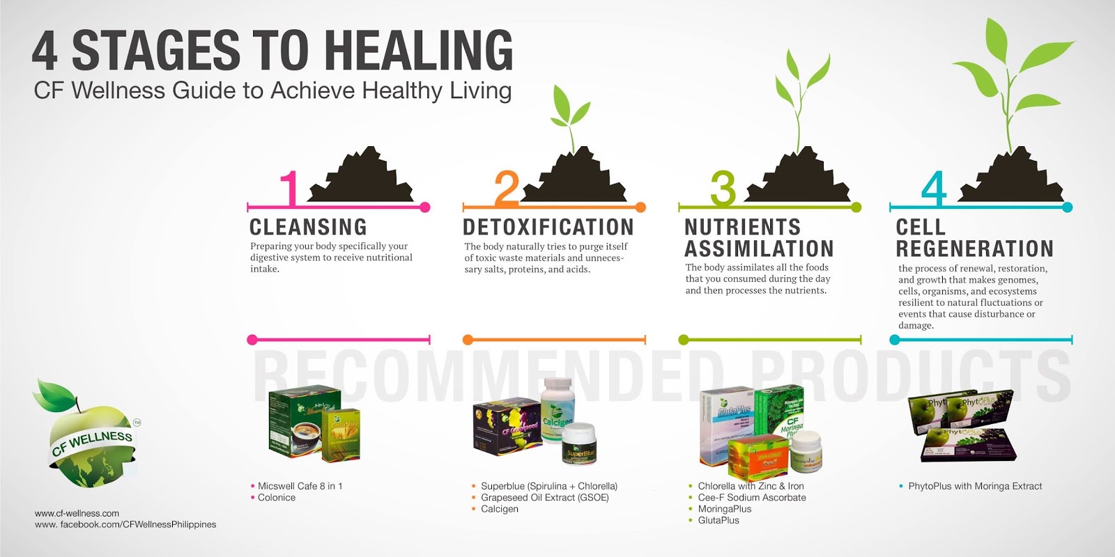 CF Wellness Unlimited: CF WELLNESS MORE THAN JUST A BUSINESS