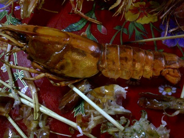 Prawning at Haibin Bishan Singapore