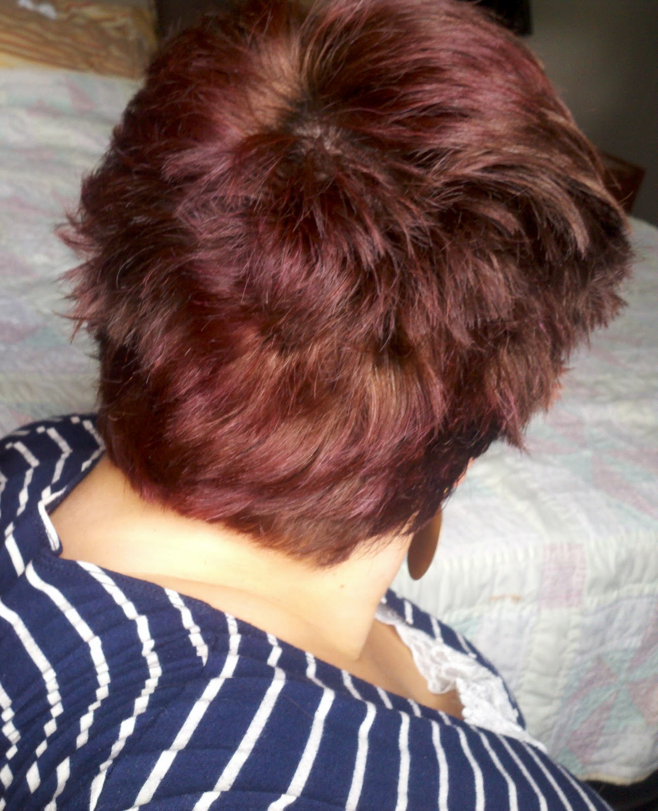 My Fabulous Year of Hair