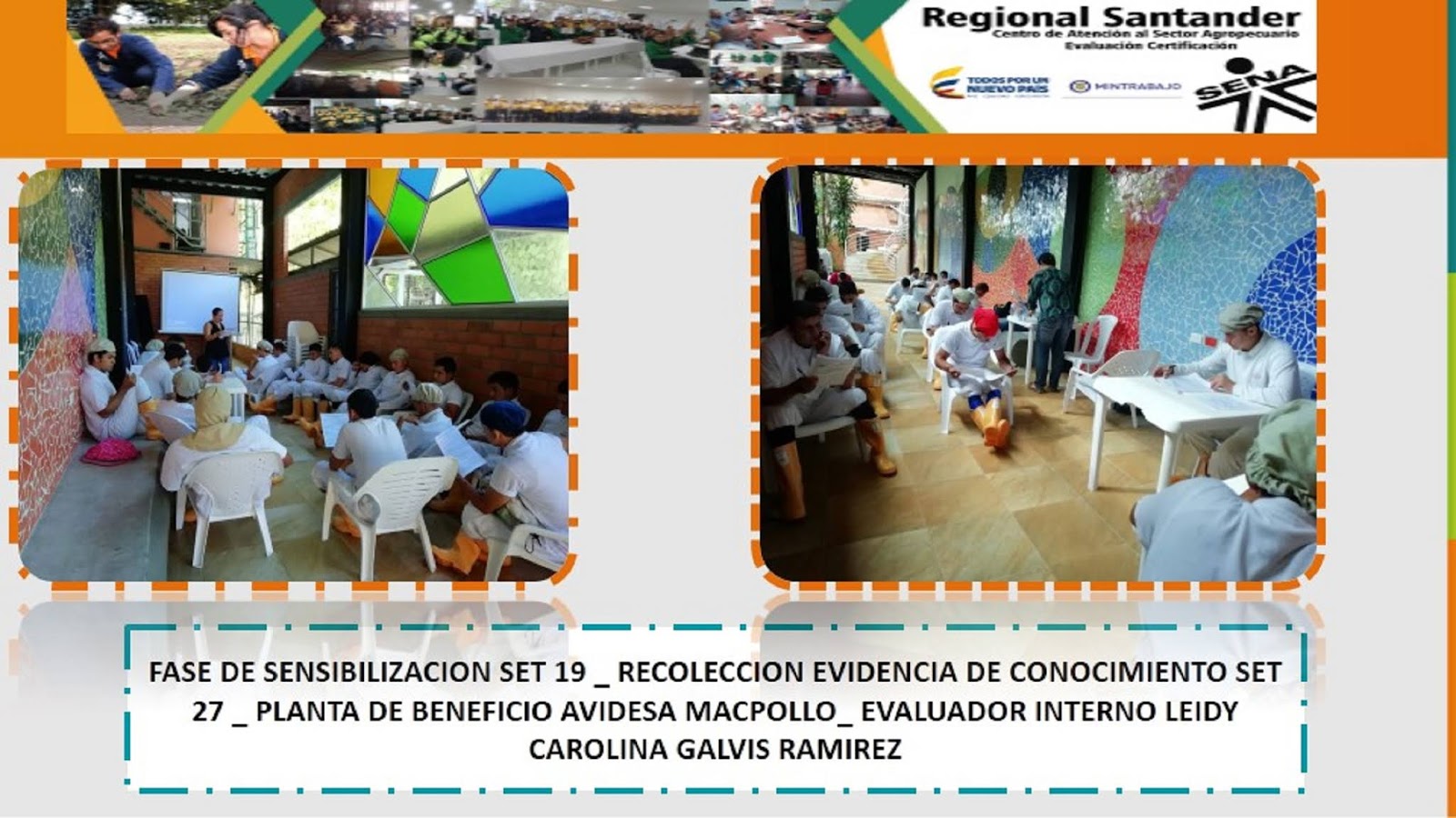 C18: Proceso AVIDESA MACPOLLO PN 4327 Avicola 2018