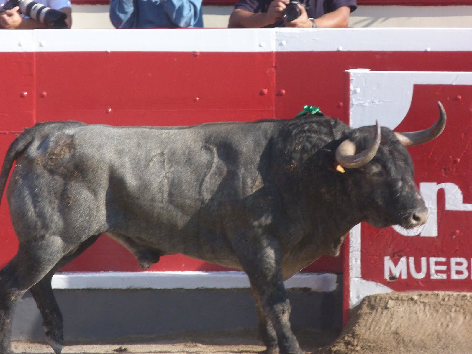 Toro, Torero y Afición: Las fotos de Azpeitia by Urko