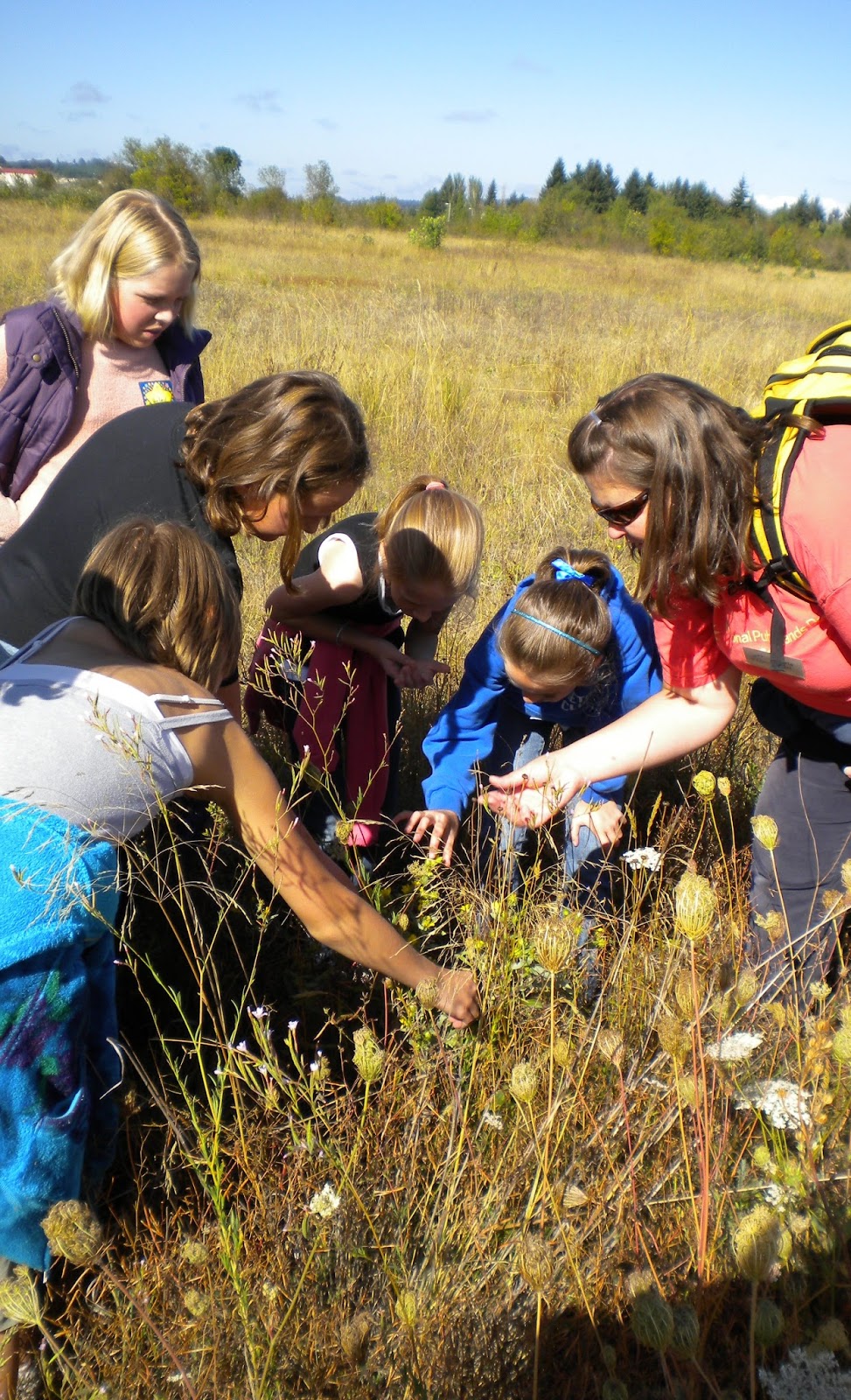 WREN: Engage, Educate, Empower!: Spring Volunteer Orientation