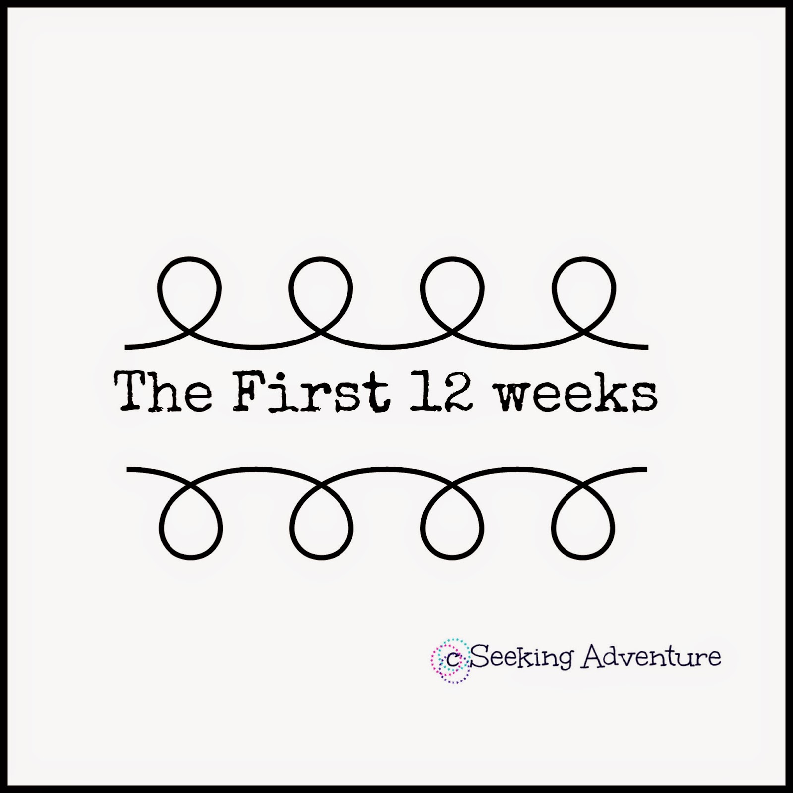 Seeking adventure: The First 12 Weeks