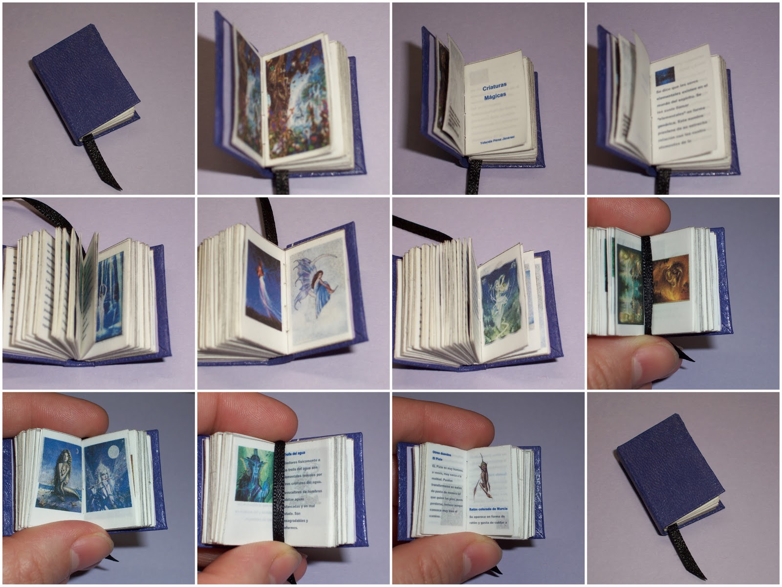 Mis Minis: Libros en miniatura